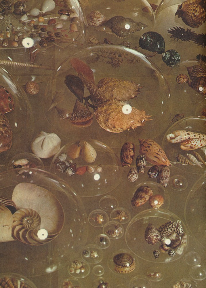 Alex P. White, Artist - Sight Unseen