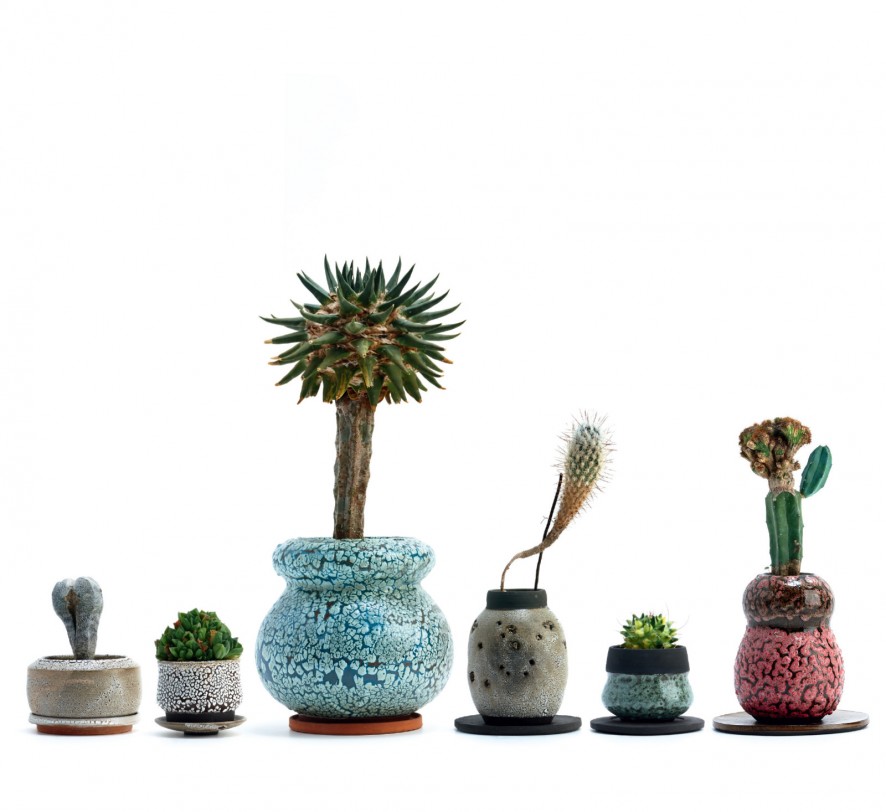 The Prettiest Plants and Pots You've Ever Seen - Sight Unseen