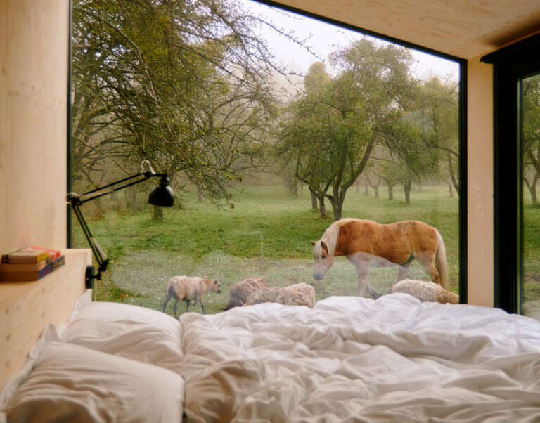 Berlin Startup Raus Is Building Designer Cabins in the Woods that Let ...