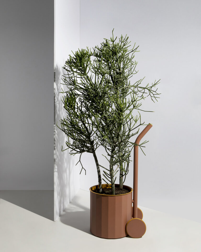 Sight Unseen is Launching a Best in Show Award at Greenhouse, Stockholm ...