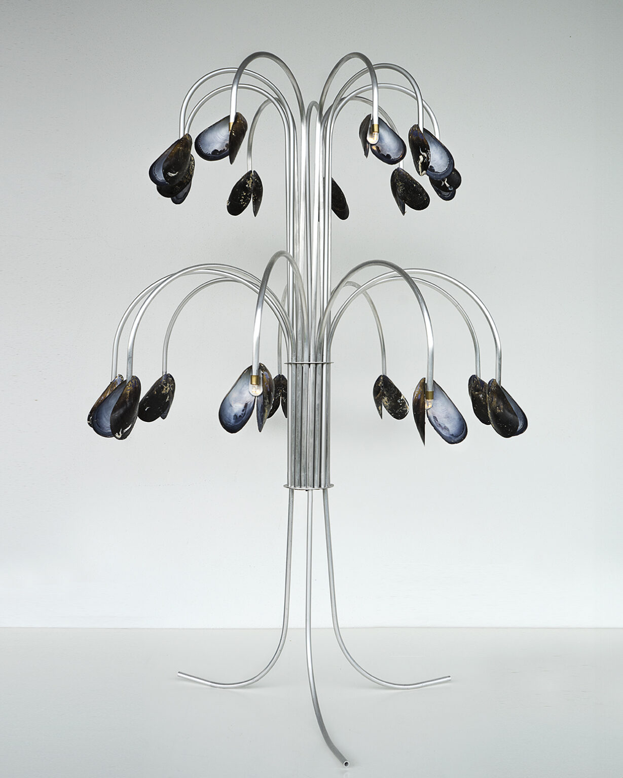 Week of May 20, 2024 - Sight Unseen